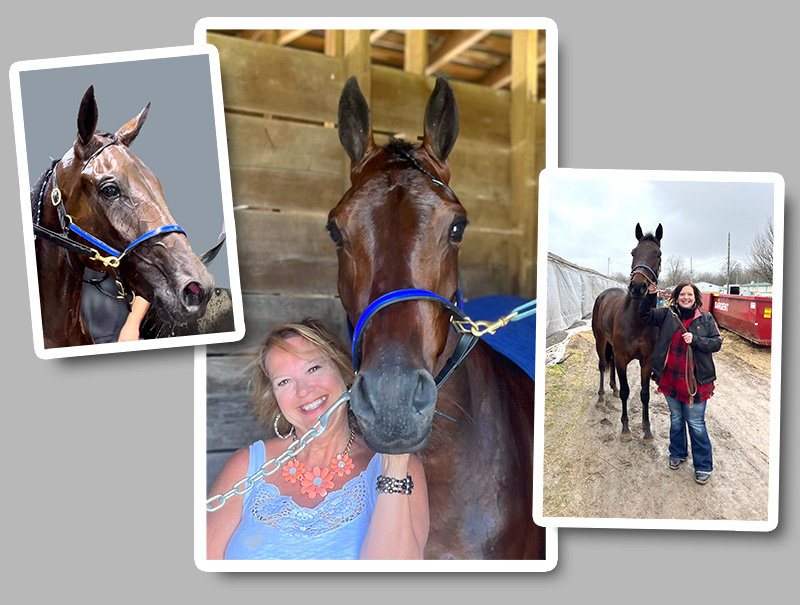 Popeye portrait in progress 1 - A horse with a special story