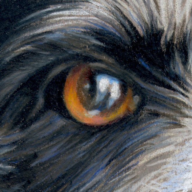 Briscoe portrait in progress 3 - How to make an eye