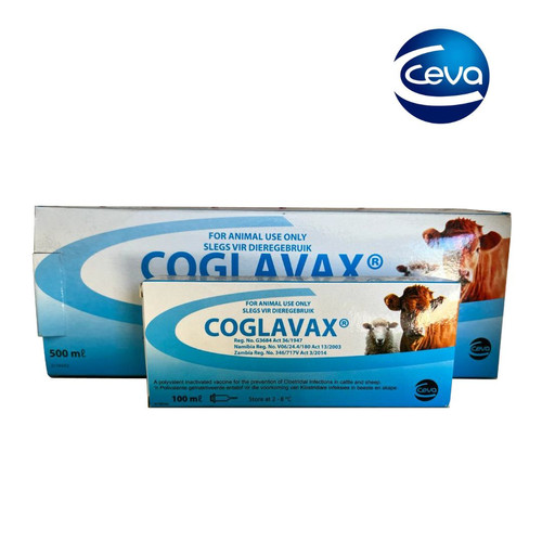 COGLAVAX® | Lionel's Vet