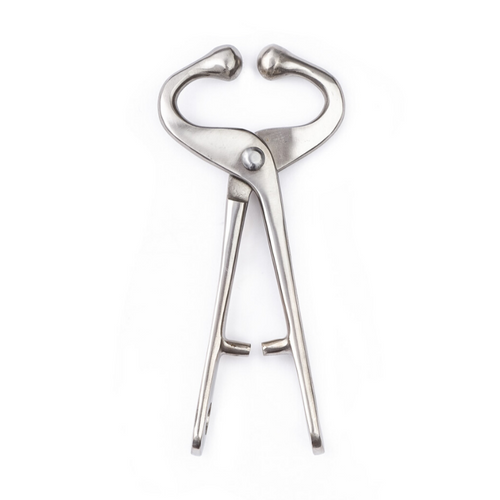 Bull Lead Applicator | Lionel's Vet