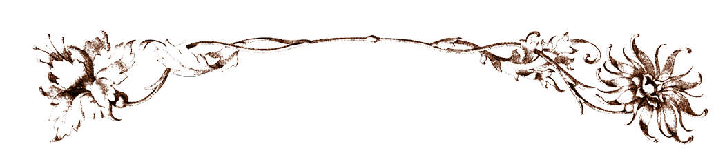 The offical site of Bridget Boland, author of The Doula