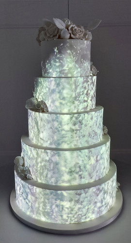 Freeze | Project Cakes