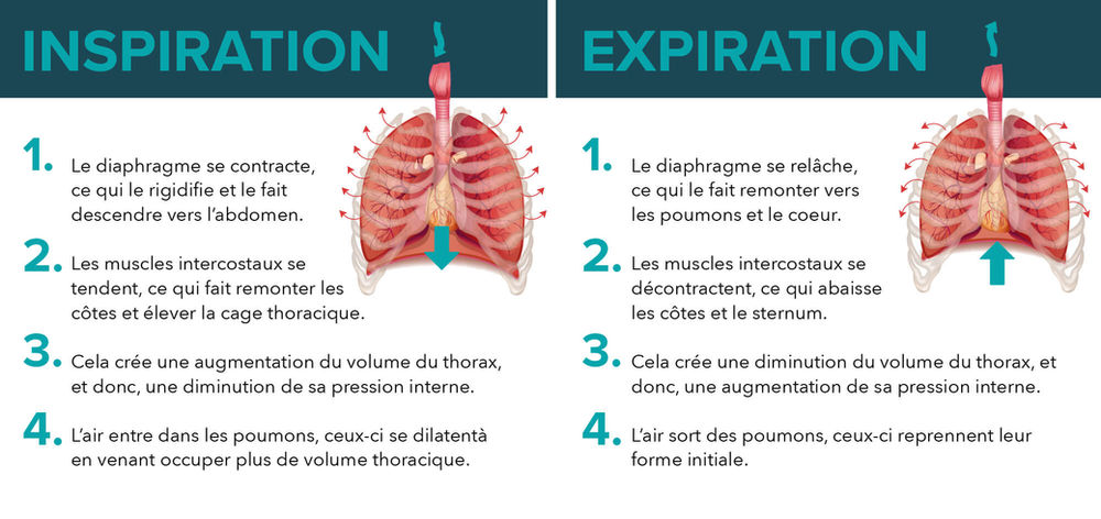 Connaissez-vous l’importance d’un diaphragme souple?