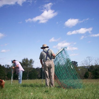 ABOUT | The Eaton Farm