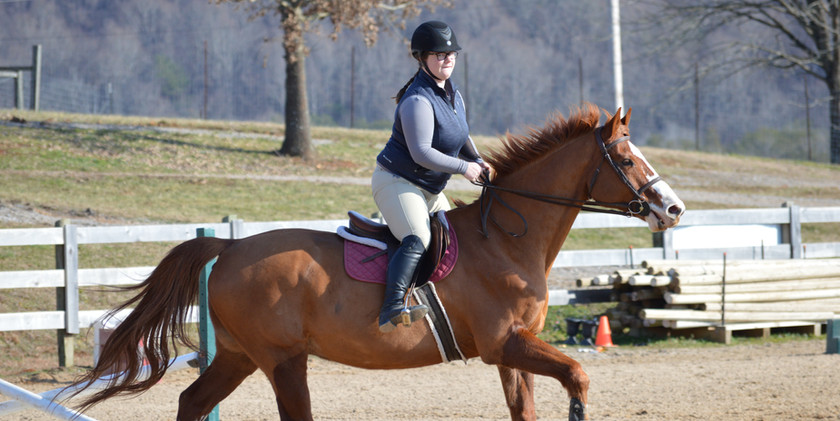 Lessons | Scots Ridge Farm