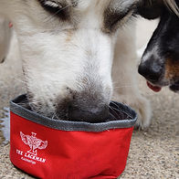 The Lackman | OTR's Neighborhood Bar