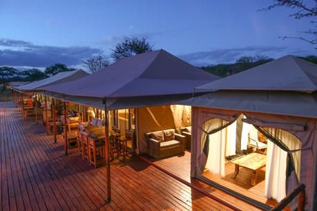 Acacia Central Camp | Trip Quest