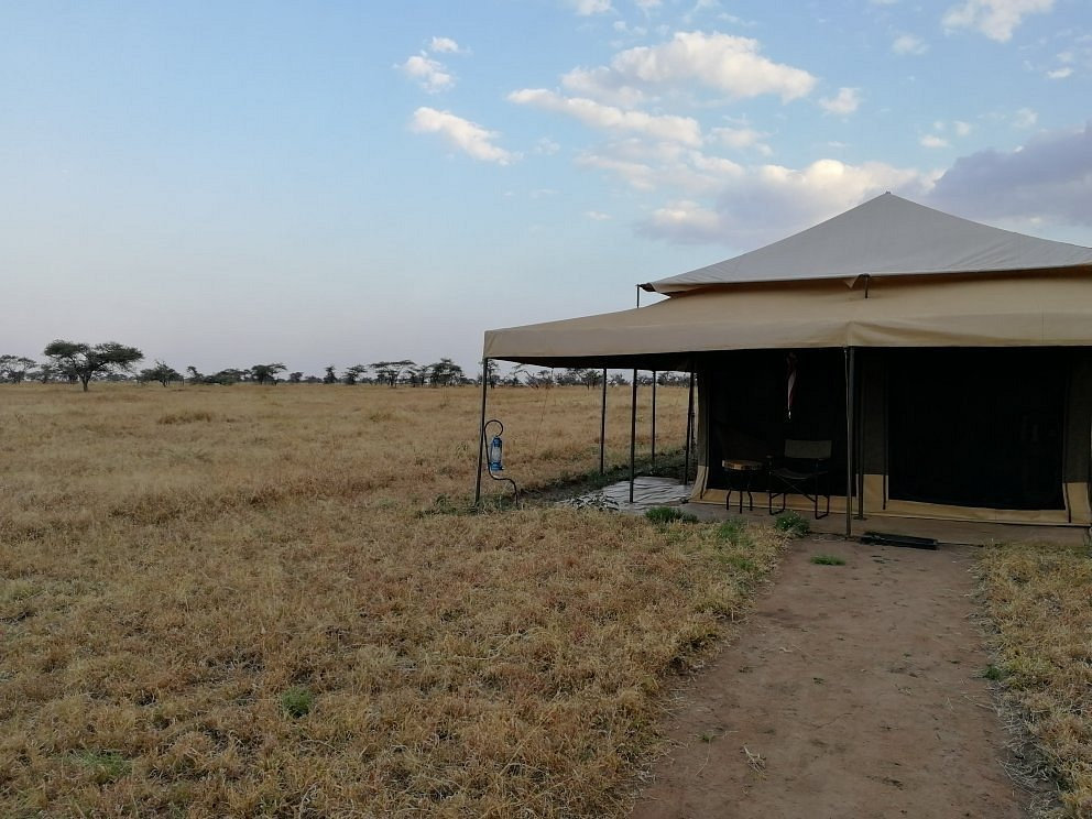 Tanzania Bush Camp - Ndutu | Trip Quest