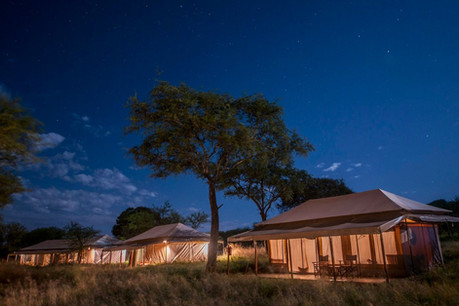 Acacia Central Camp | Trip Quest