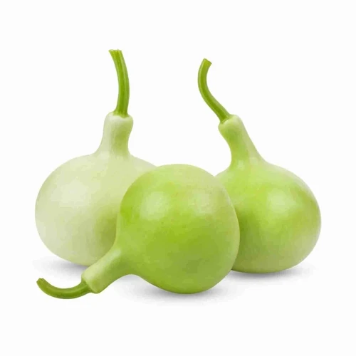 Round Gourd: 500 gram | Fruit Sabzi Mart