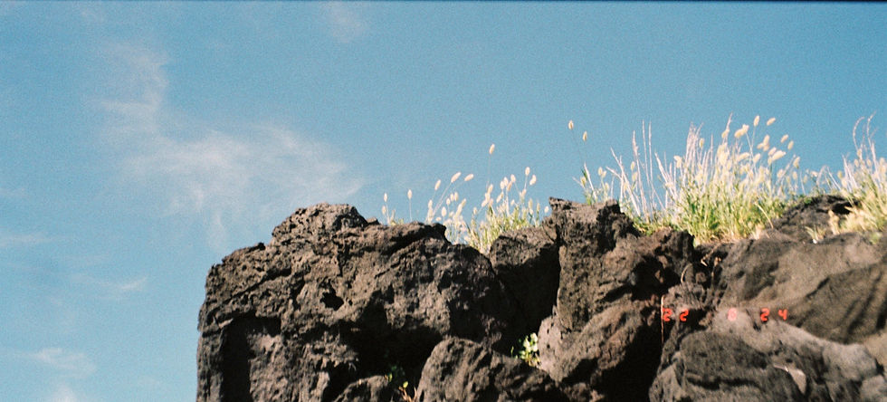 FAQ | 평온 Pyeongon