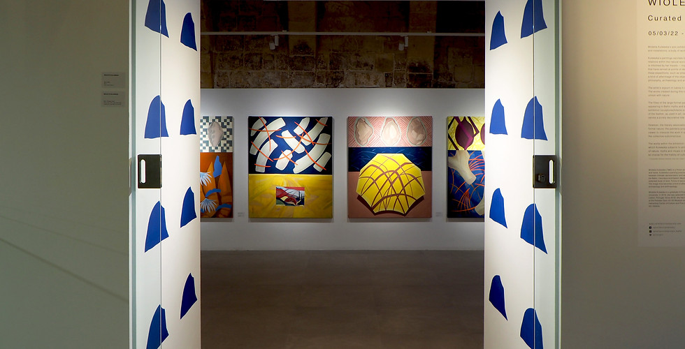 FINISSAGE: THE FEATHER COLLECTOR | VallettaContemporary