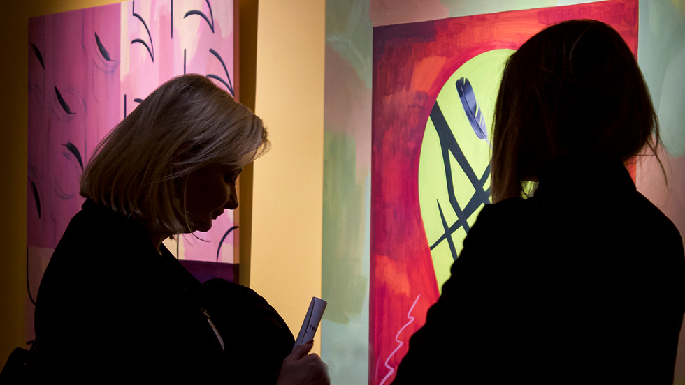 FINISSAGE: THE FEATHER COLLECTOR | VallettaContemporary