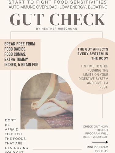 Gut Check Program | Heather Hirschman
