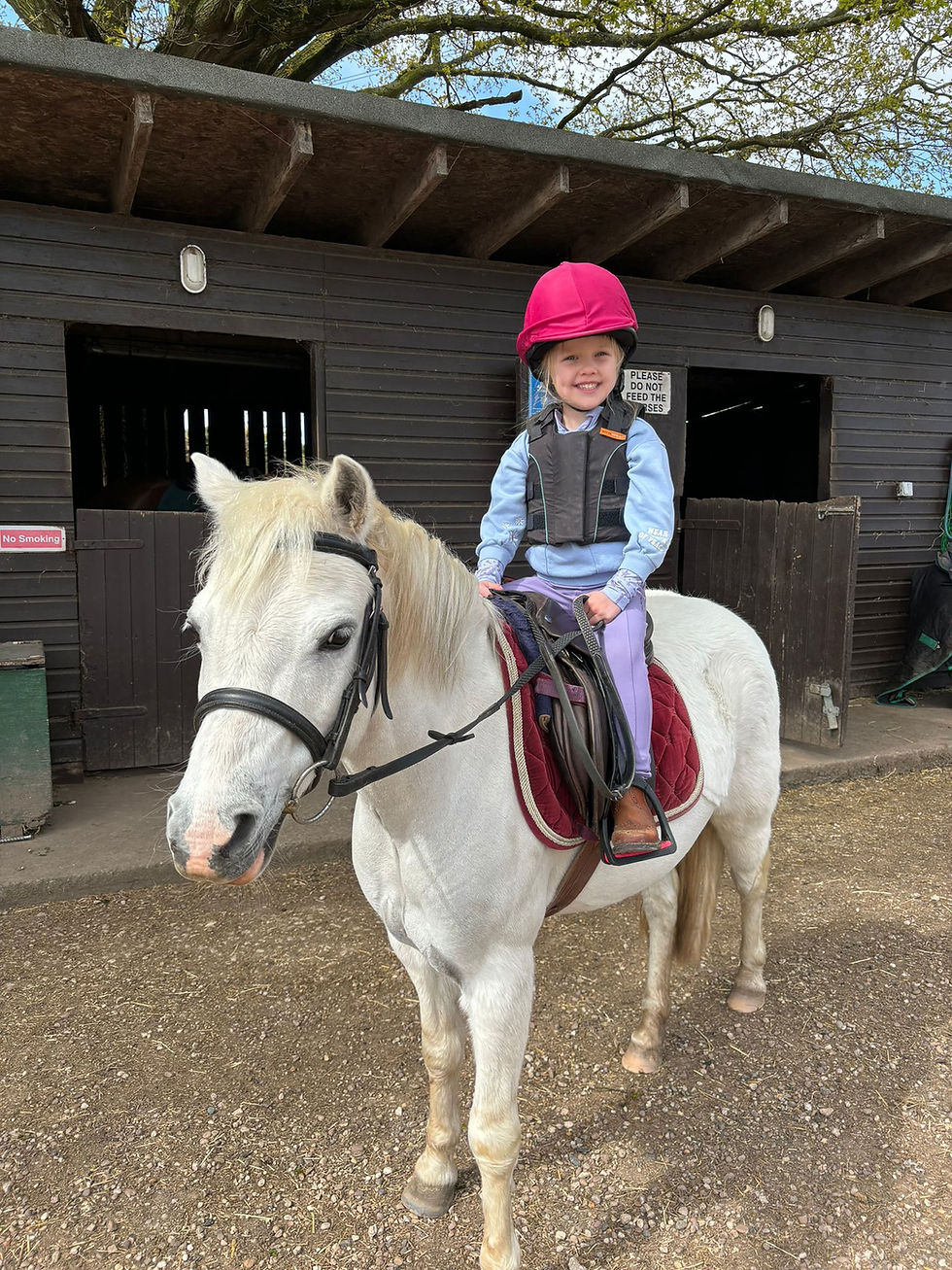 Meet the Team | millhouse-stables