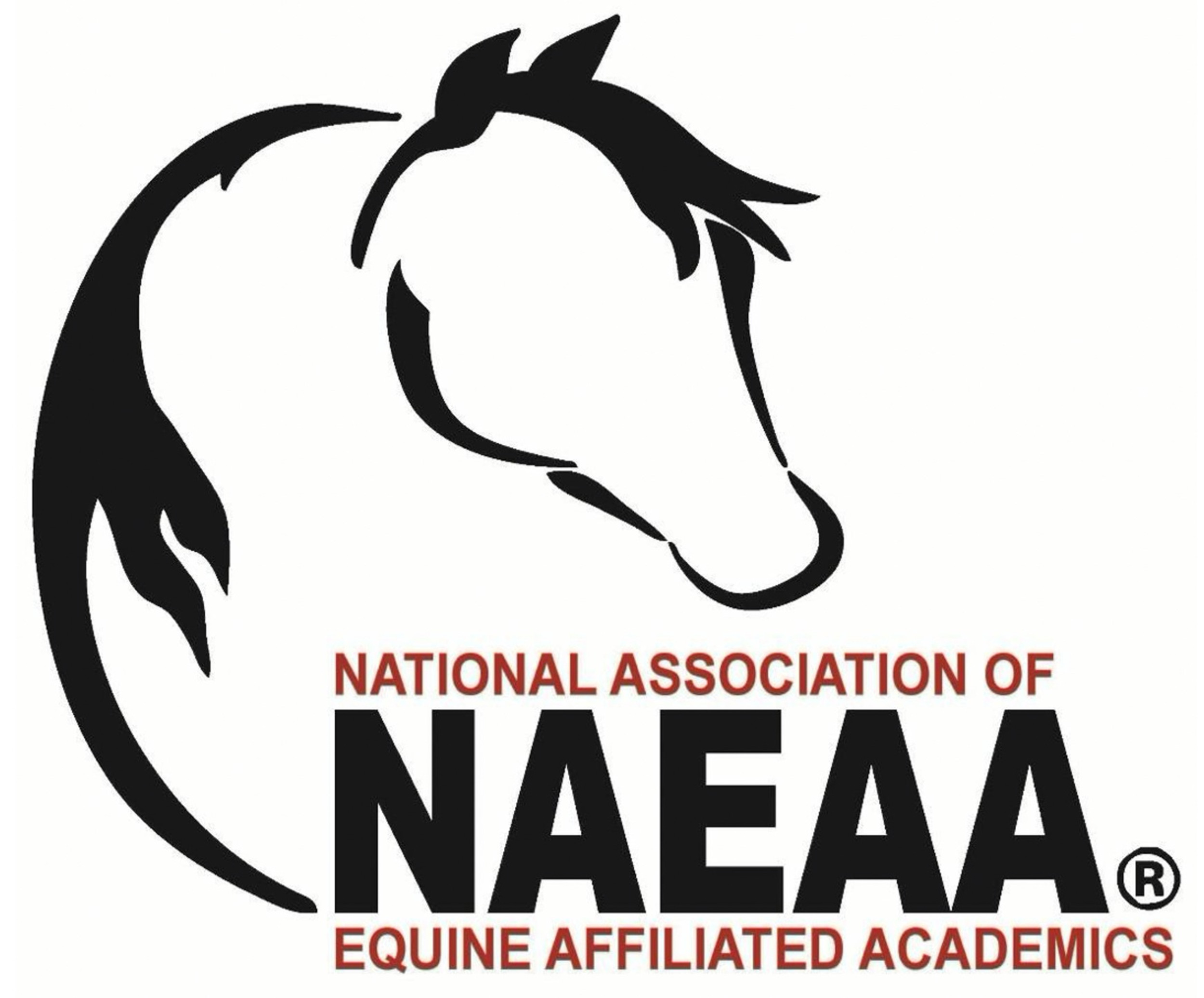 2024 Conference | NAEAA