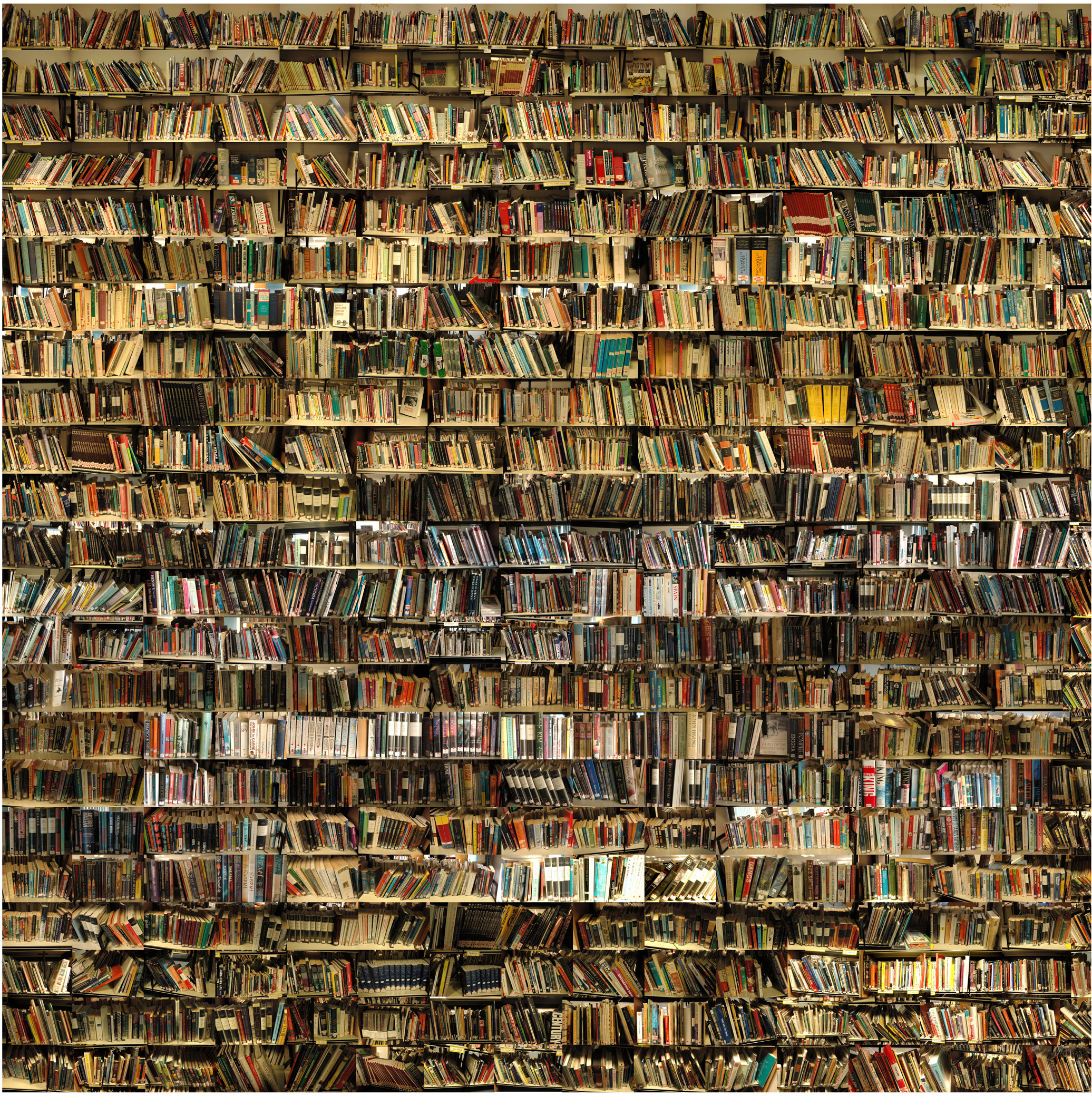 Christian Webb Photography