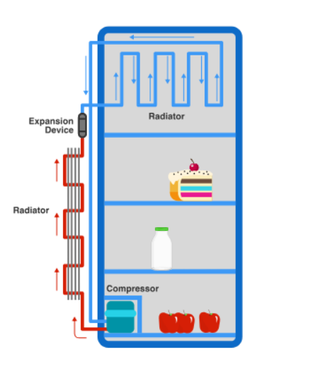 Everyday Life - The Physics/Thermodynamics Behind your Refrigerator