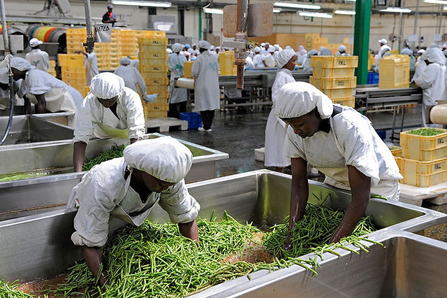 Benefits of agro-processing - Agric4Profits