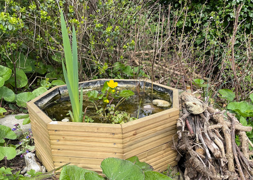 Simple & Stylish Small Octagonal Pond 61x61x27 cm | Dad's Crafts