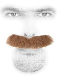 MOUSTACHE MAGNUM (TOM) BROWN | South West Costume H
