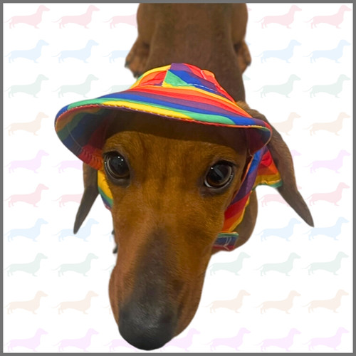 Sausage Dog Box Summer Sun Hat | Sausage Dog Box