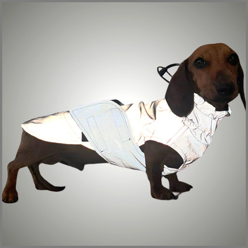 Sausage Dog Coat - Glow Getter - Reflective LED Light Up Dachshund Coat ...