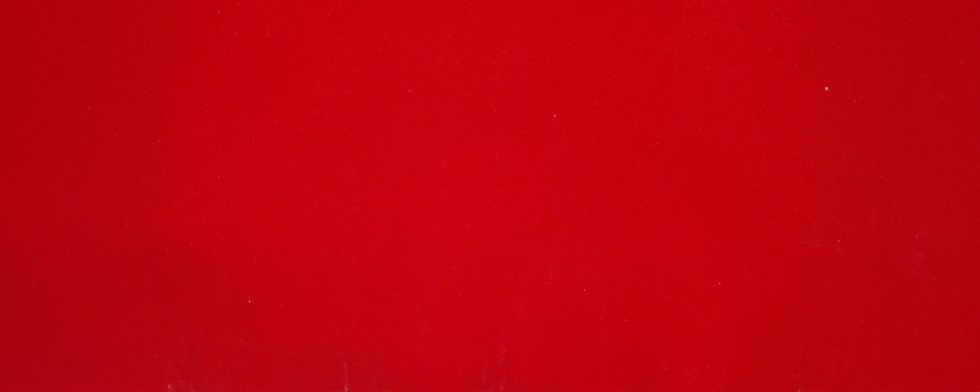 HOME | Camille Truyffaut