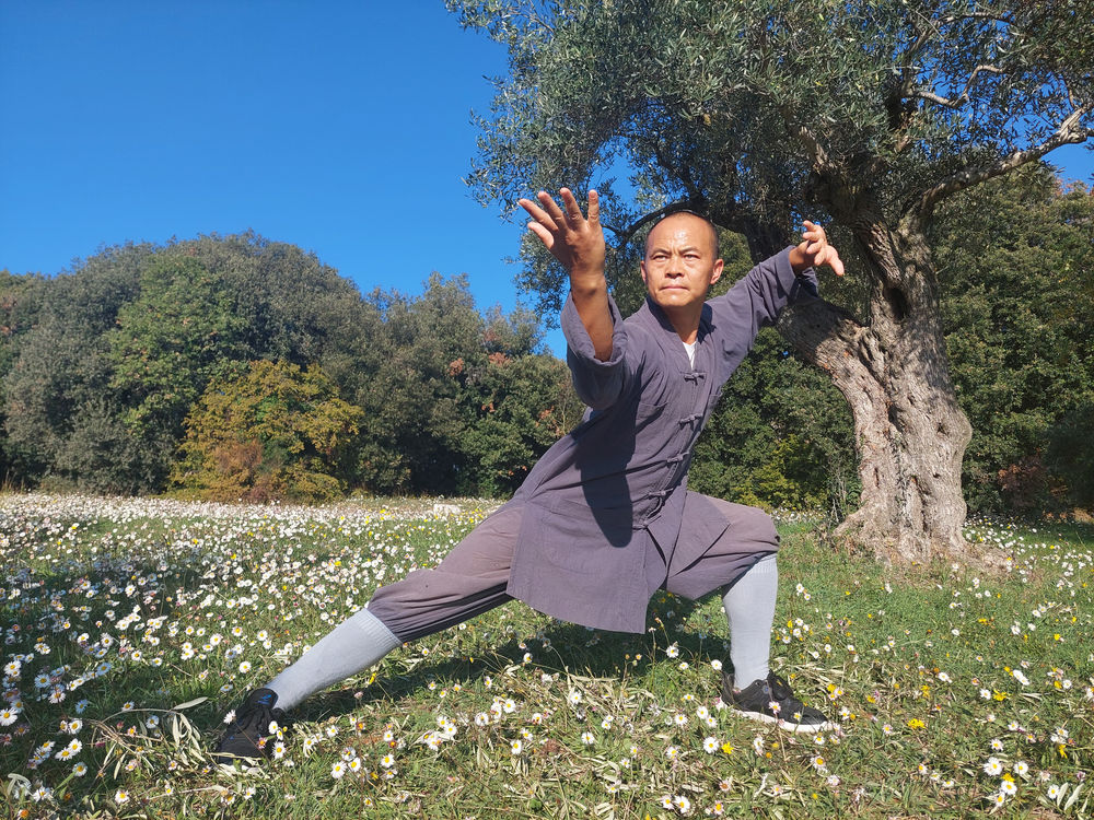 Class 2: Kung Fu Stances
