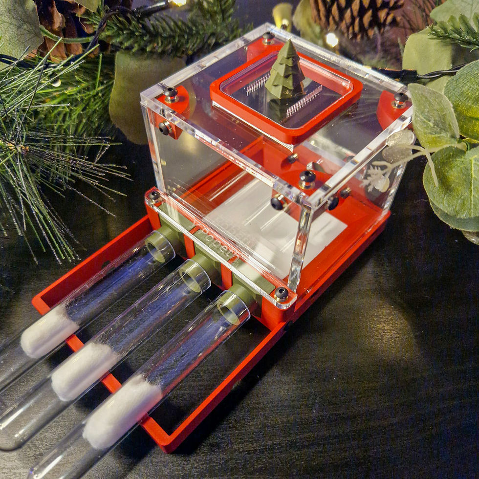 Shop Online | Ant Antics