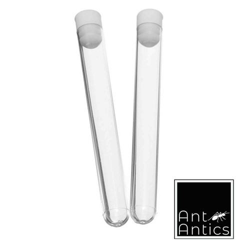 Test Tubes | Ant Antics