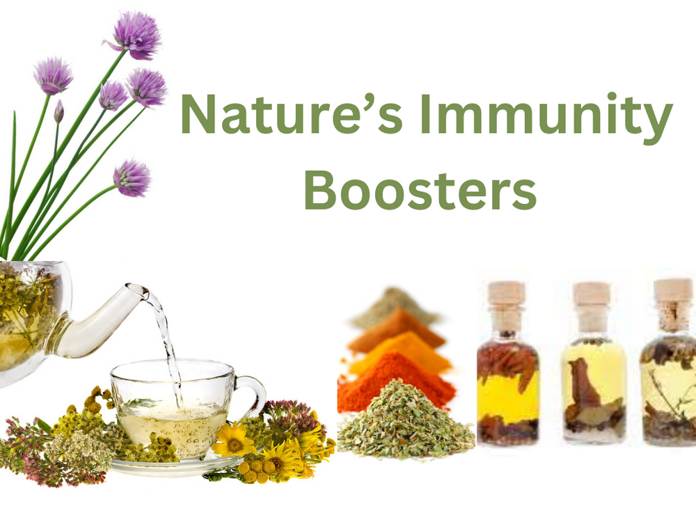 Nature's Immunity Boosters | herbalelements