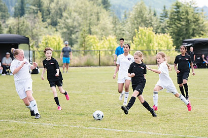 Crossfire Select: Programs