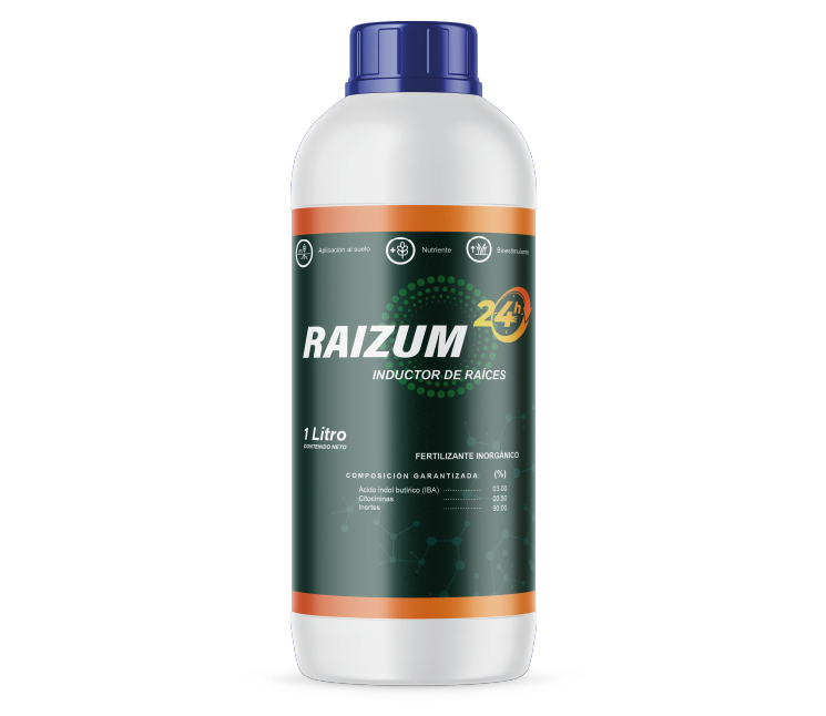 Raizum