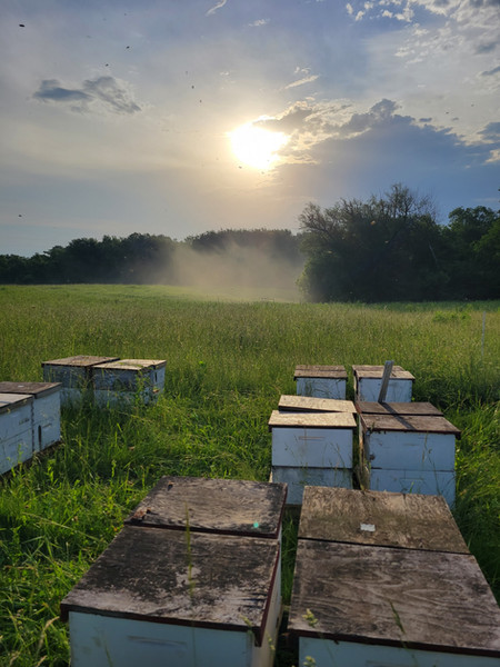 About Us | Honey Hill Apiary