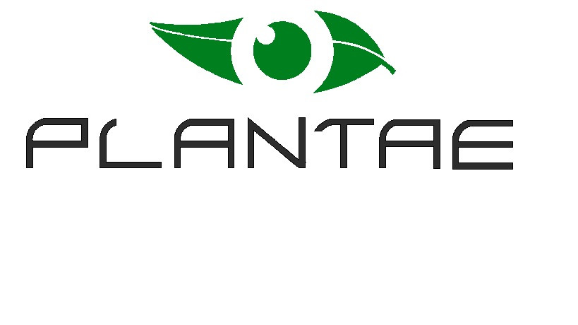 Corporativos | plantae