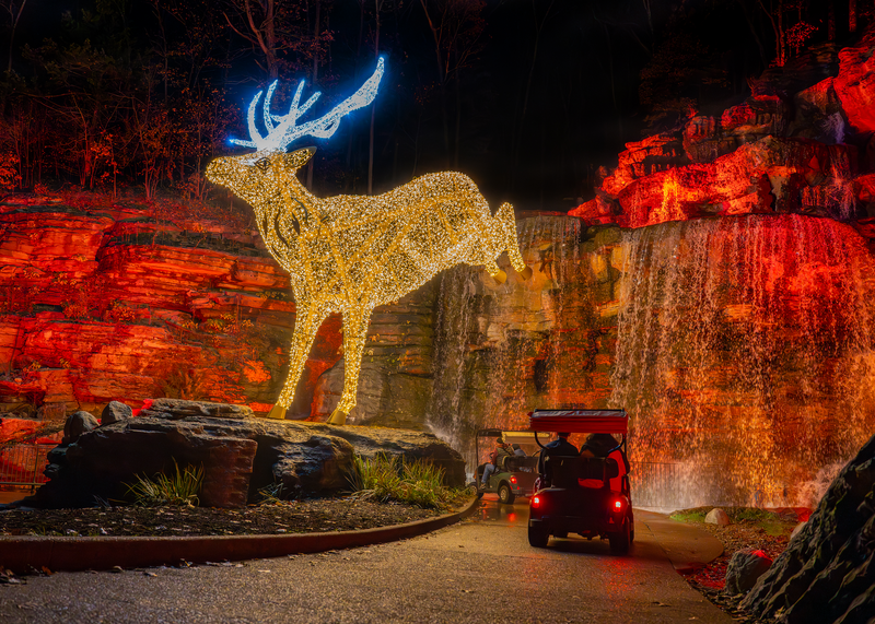Big Cedar Lodge: 'Home for the Holidays' shines with over 4 million lights