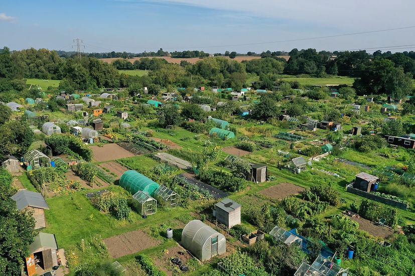 Warwick Horticulture Society | CloudHigh Media