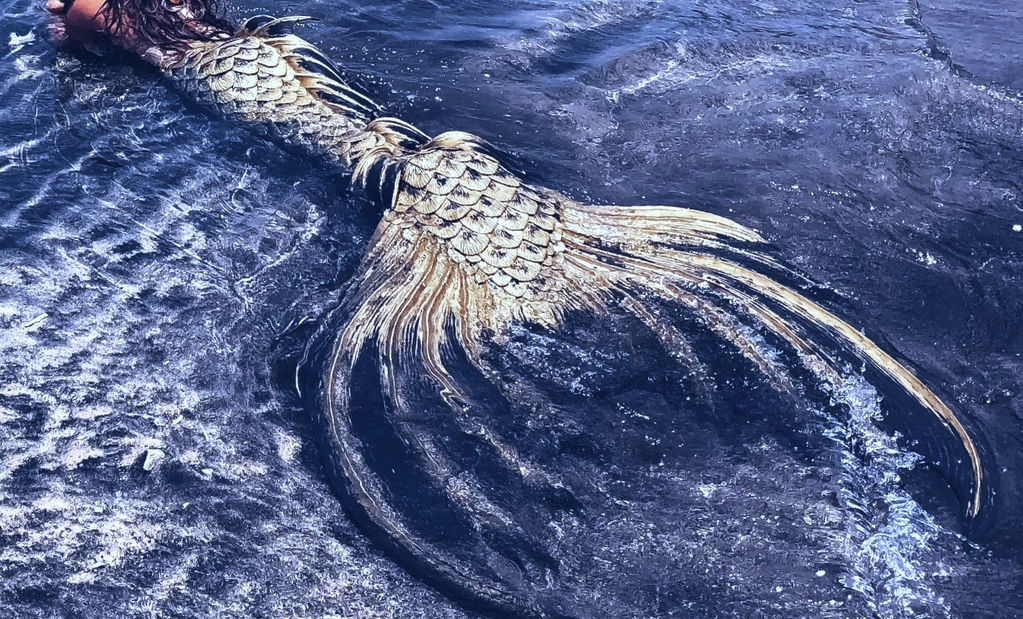 The Rise of the Swan | LM Santana