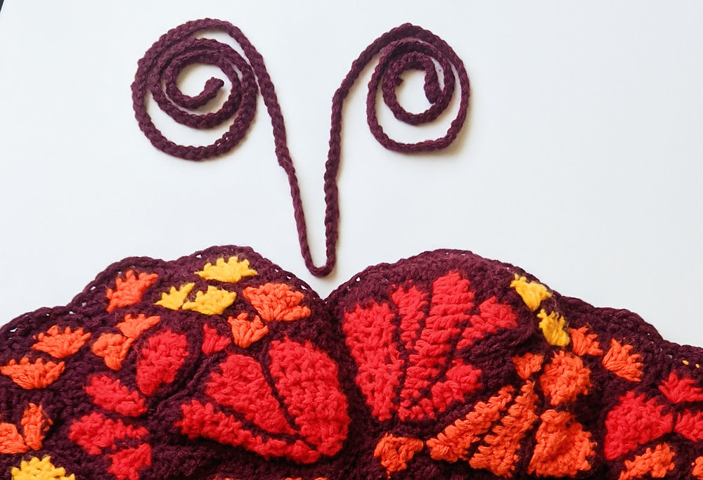 How to Crochet the Butterfly Wing Motif