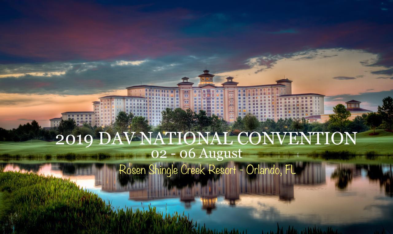 DAV Department of Vi