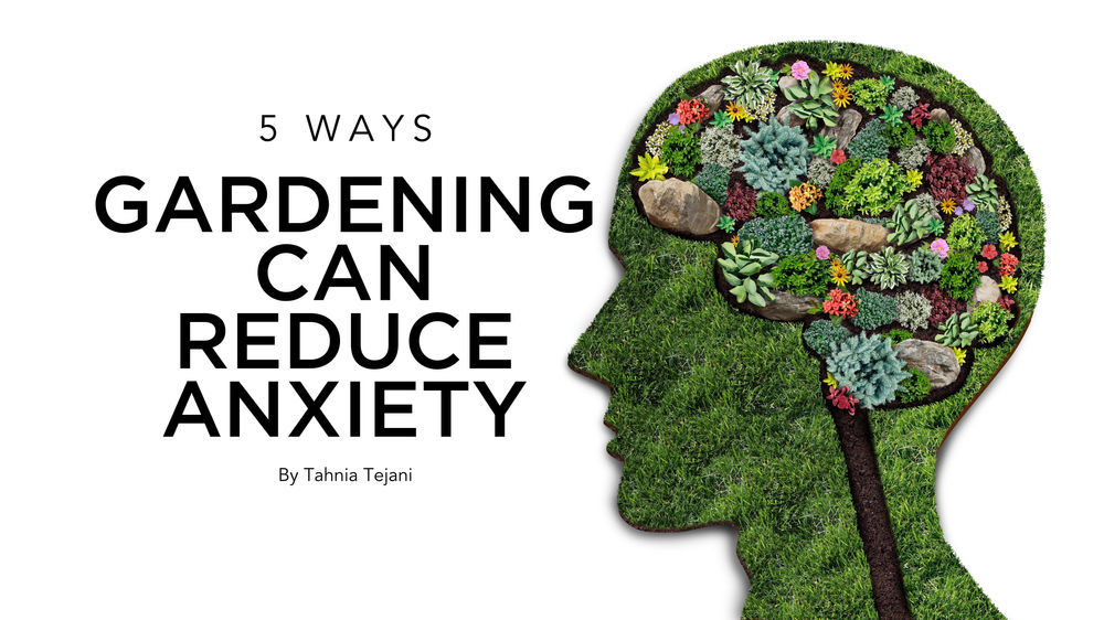 5 Ways Gardening Can Reduce Anxiety