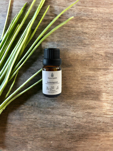 Lemon Grass Essential Oil | Moana Crystals