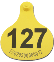 Crotal Ofivacuno con punta de metal · Machos | Livestock Datamars