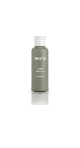 Neuma Beauty Re Neu Shampoo | whatsbeanHappening
