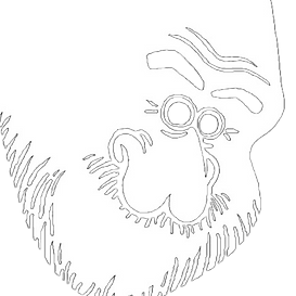 ANIMATION | Mikecarf