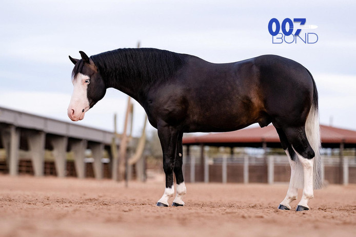 007 | The Breeding Barn