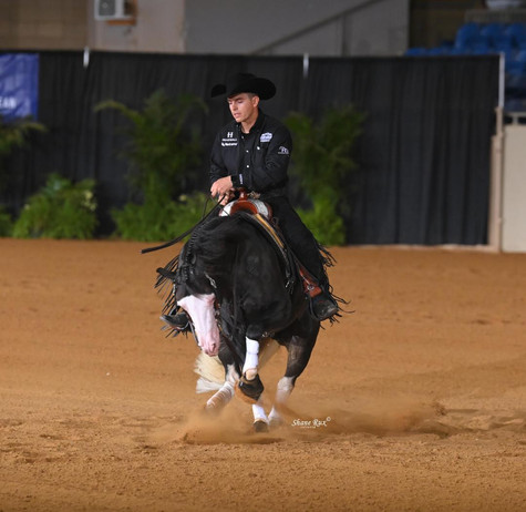 007 | The Breeding Barn