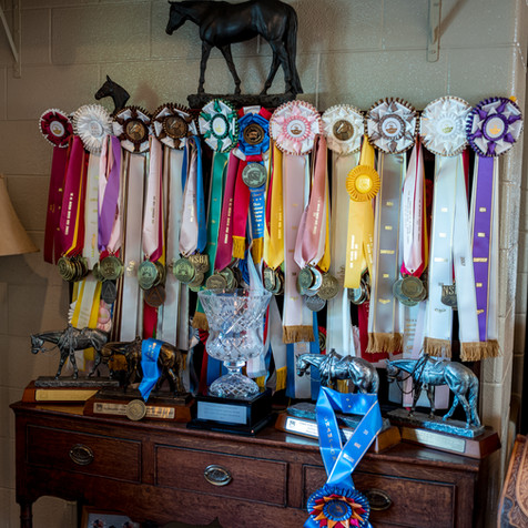 The Farm | Masterson Farms