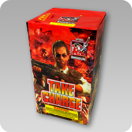 Take Charge | Discount Fireworks